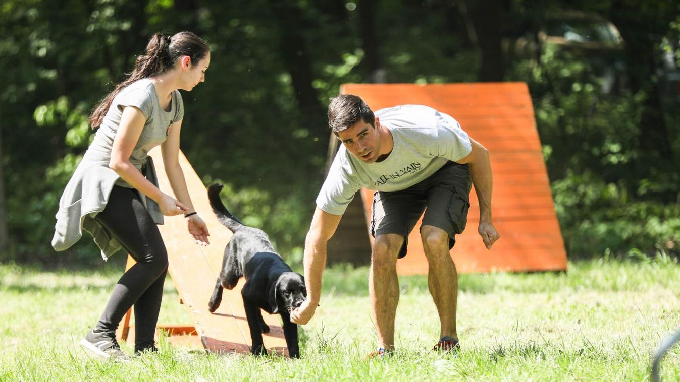 Az erdei tornapályán ünnepelte születésnapját a Duna Dog Center