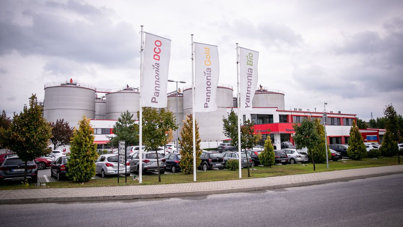 A Pannonia Bio csaknem egymillió tonna kukoricát vásárol a hazai ...