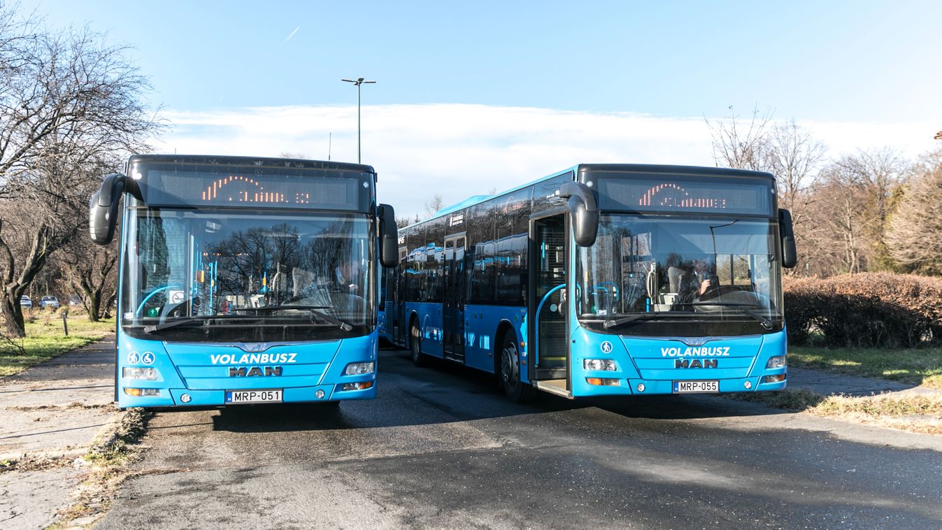 Nyolc újszerű buszt állít forgalomba a Volánbusz városunkban