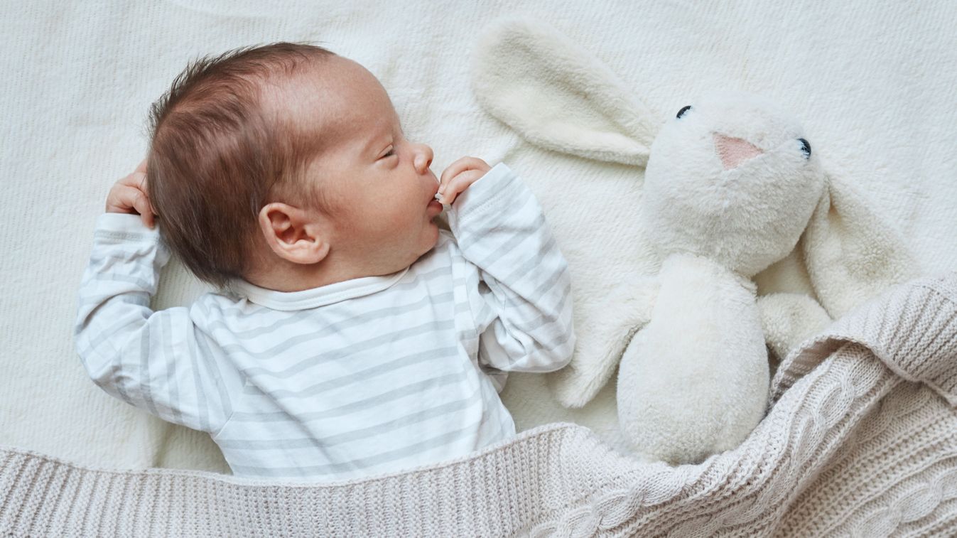 Gólyahír – újabb csöppségekkel gazdagodtunk