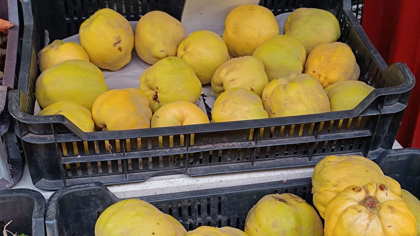 Két kör után csak lett birsalma