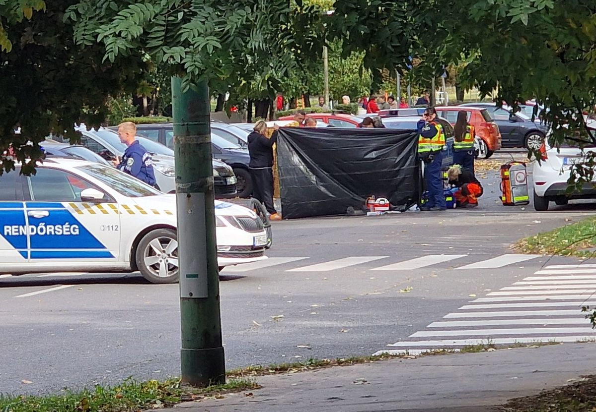 A rollerest vitte mentőhelikopter kórházba, miután a zebrán ütközött ...