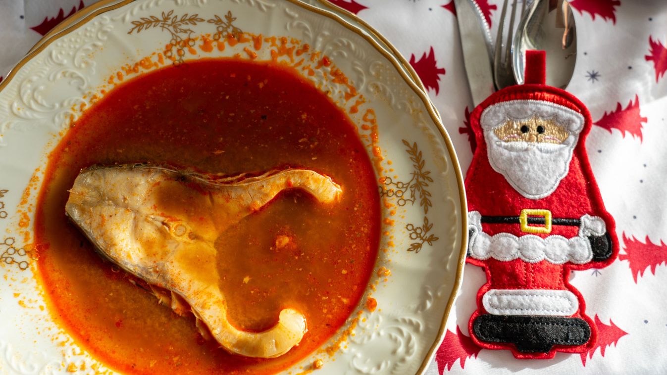 الوا جی آدام 22