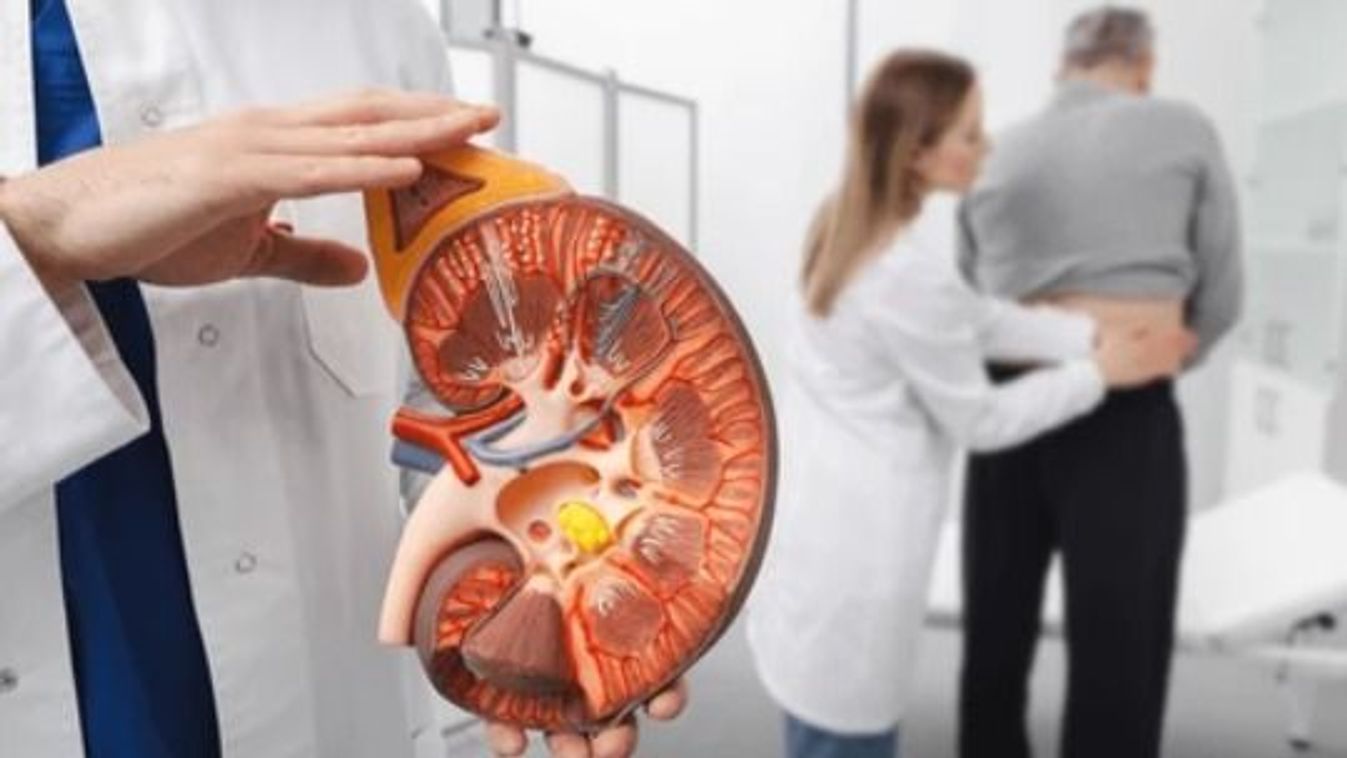 Vese Világnapja – Ismerjük fel időben a vesebetegség jeleit